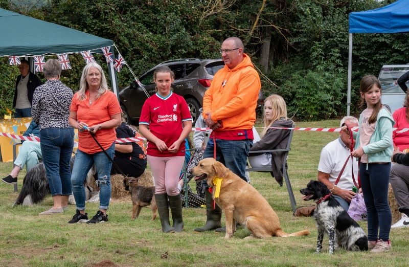 Walford Village Hall Family Fun Day & Dog Show Photo Gallery 2023 ...