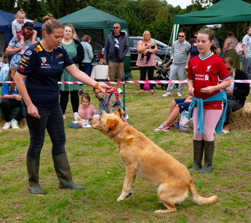 Walford Village Hall Family Fun Day & Dog Show Photo Gallery 2023 ...